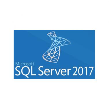 Microsoft 228-11135 SQLSvrStd 2017 SNGL OLP NL - pcbyte.com.au